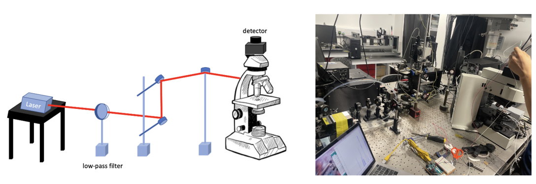 Confocal Microscopy - PC5214 wiki